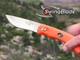 Outdoor Edge SwingBlaze - 167361, Field Care Knives at Sportsman's Guide